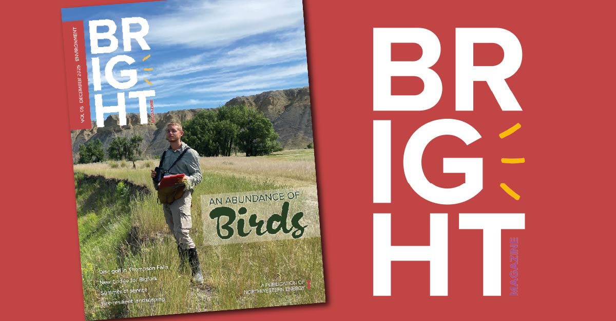 Bright Magazine | Environment | 2025