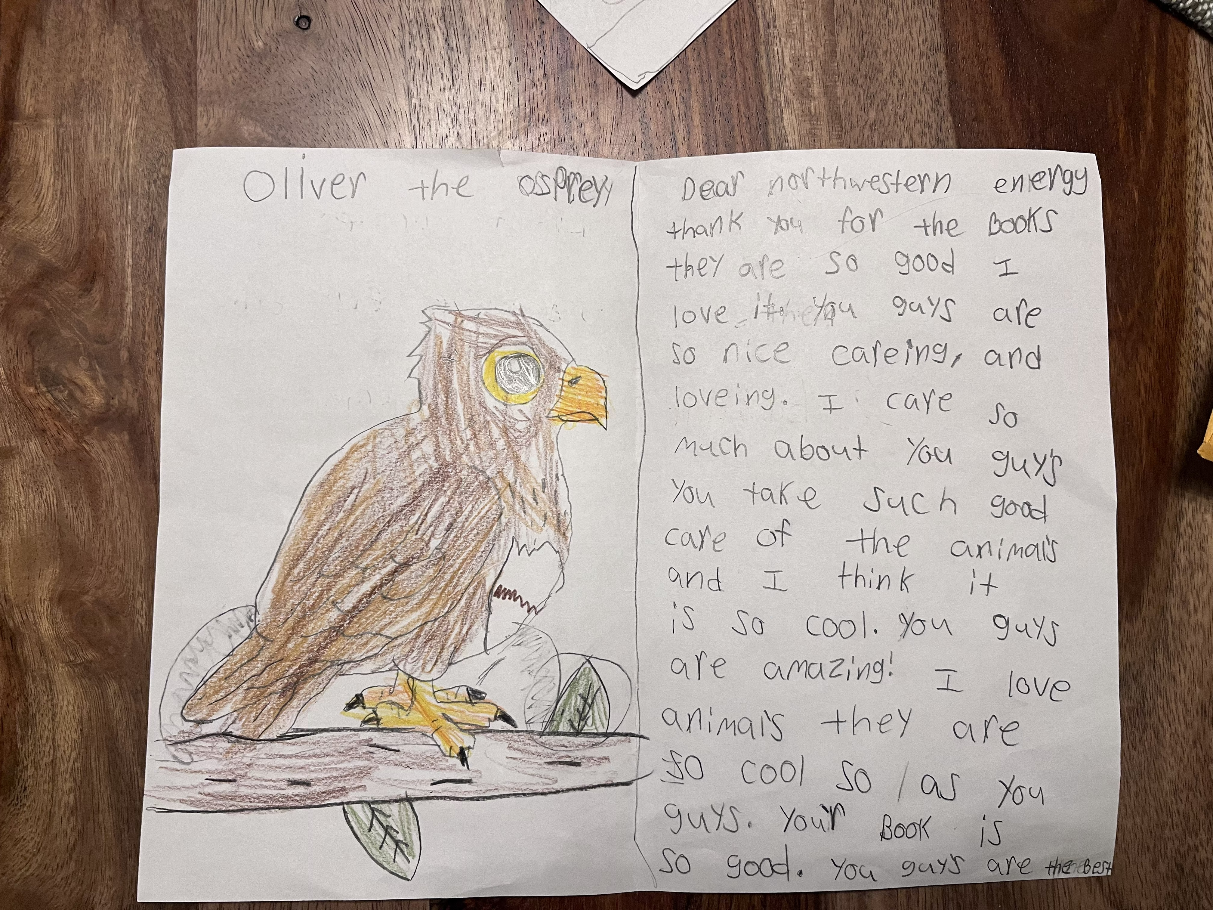 NorthWestern Energy Shares “Oliver the Osprey” With Yellowstone County ...